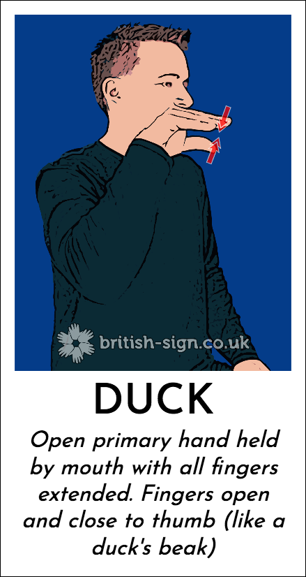 Family Signs - British Sign Language