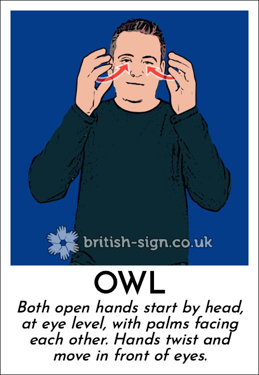 Fingerspelling Alphabet - British Sign Language (BSL)